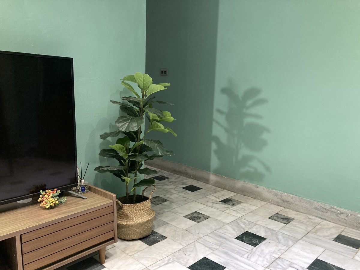 TING-JIA ZHANG | Portfolio